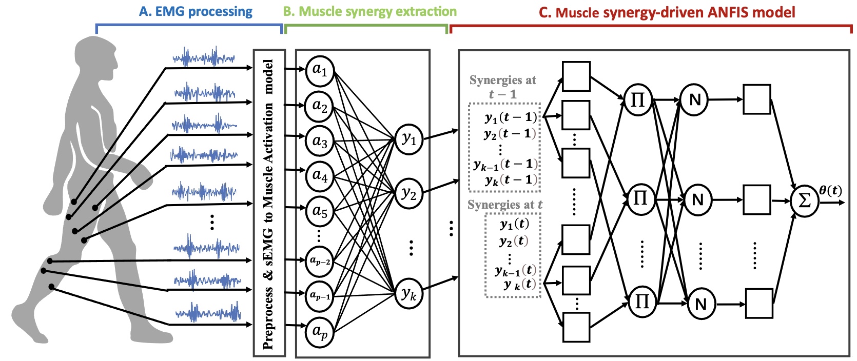 Research Progress in a Muscle Synergy-Driven ANFIS Approach to Predict ...